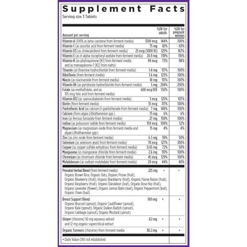 NewChapter prenatal tablets for healthy development