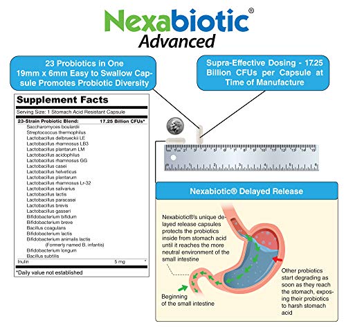 Nexabiotic for healthy digestive system