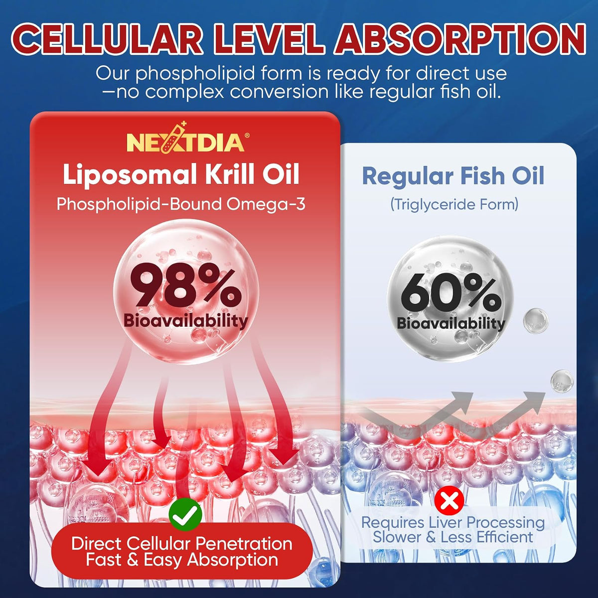 Nextdia krill oil for joint support