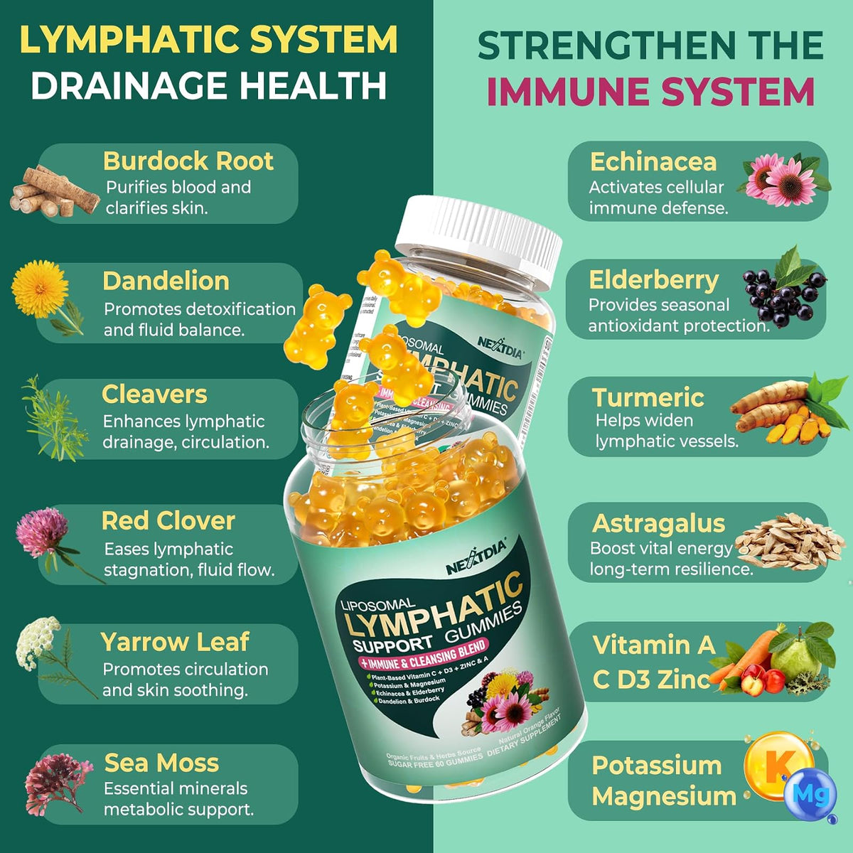 Nextdia lymphatic drainage gummy formula