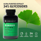NGL Ginkgo Biloba cognitive support