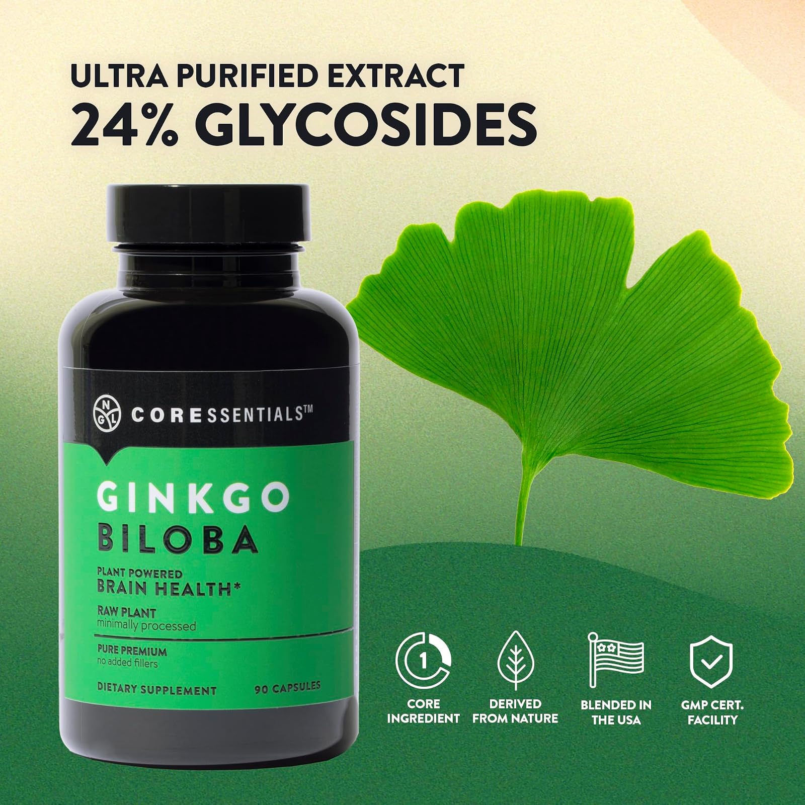 NGL Ginkgo Biloba cognitive support