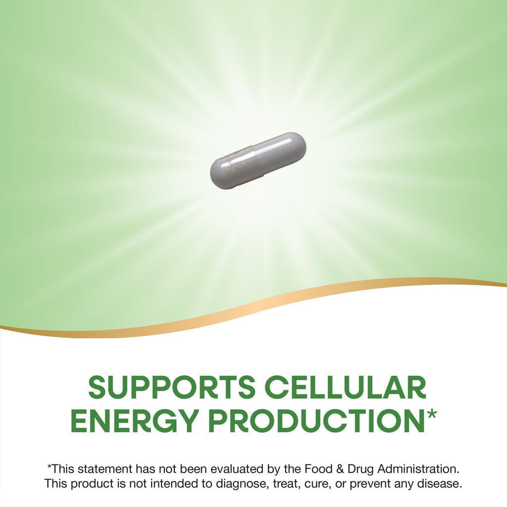 Niacinamide supports energy metabolism