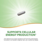 Niacinamide supports energy metabolism