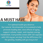 Nicotinamide capsules for energy support