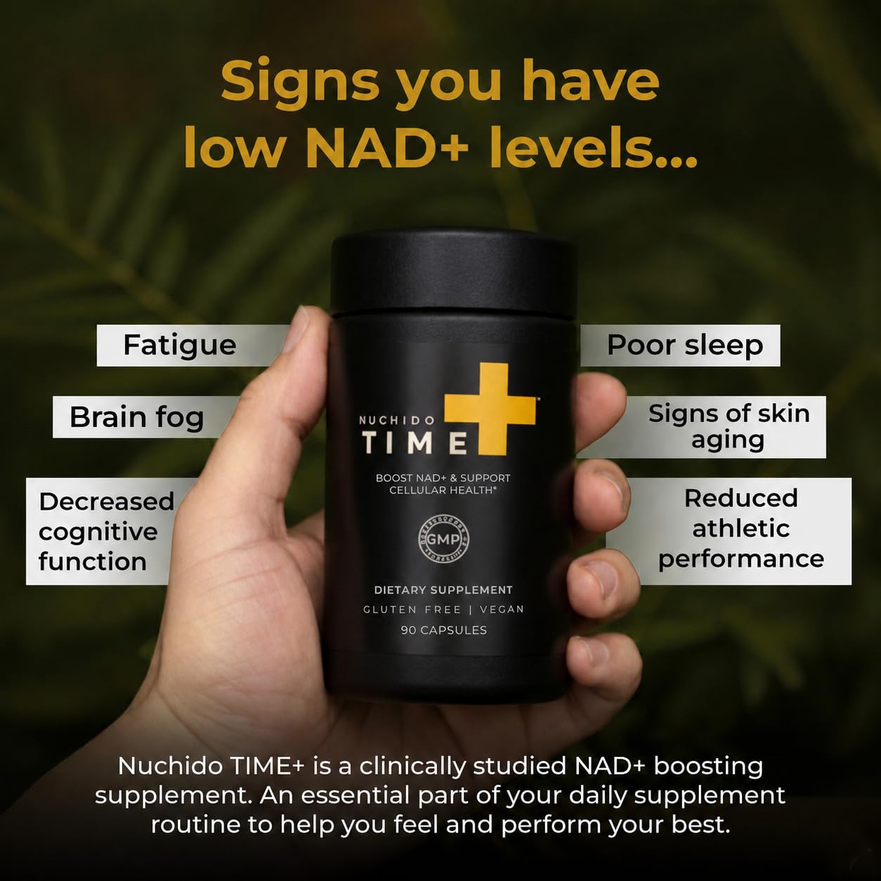 Nicotinamide for enhanced energy