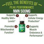 Nicotinamide mononucleotide 500 mg capsules
