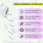 Nicotinamide Mononucleotide for vitality