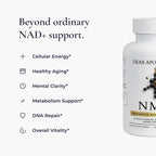 Nicotinamide Mononucleotide health benefits