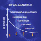 Nicotinamide Mononucleotide health benefits