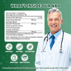 Nicotinamide riboside antioxidant benefits
