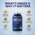 Nicotinamide riboside antioxidant benefits