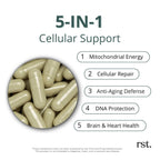 Nicotinamide riboside energy booster