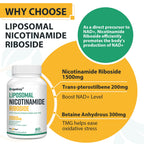 Nicotinamide Riboside for anti-aging