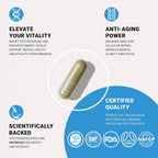 Nicotinamide Riboside for cellular health