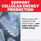 Nicotinamide riboside for healthy aging