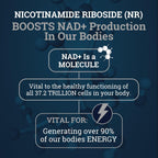Nicotinamide Riboside for healthy aging