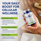 Nicotinamide riboside for metabolic support