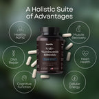 Nicotinamide Riboside supports healthy aging