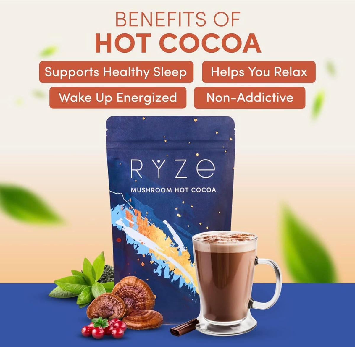 nighttime cocoa with adaptogenic mushrooms