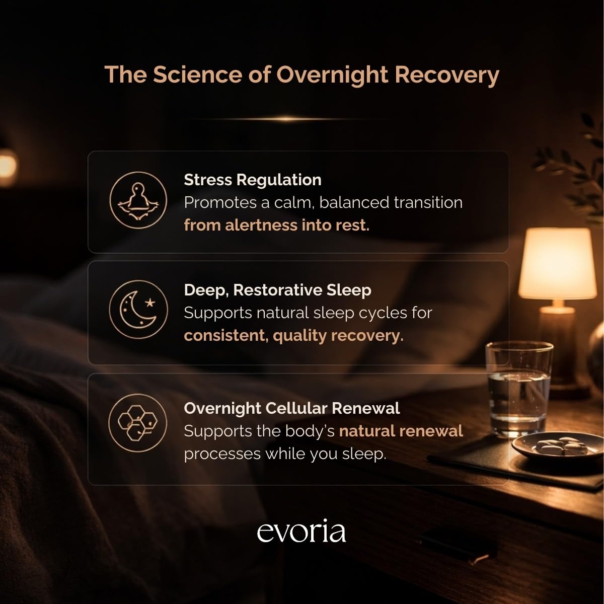 nighttime recovery supplement capsules