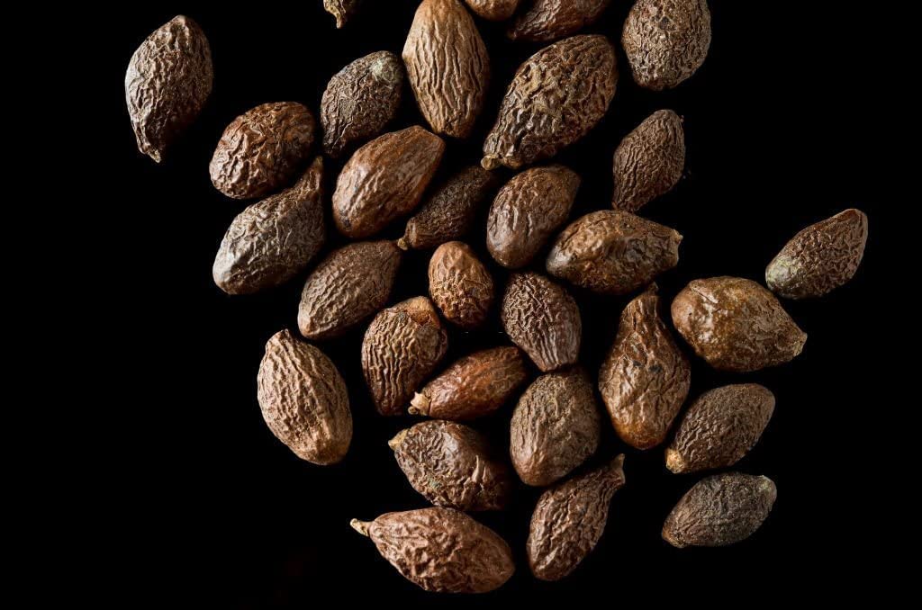 Niranjan Phal seed benefits for wellness