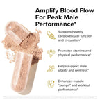 nitric oxide booster for improved performance