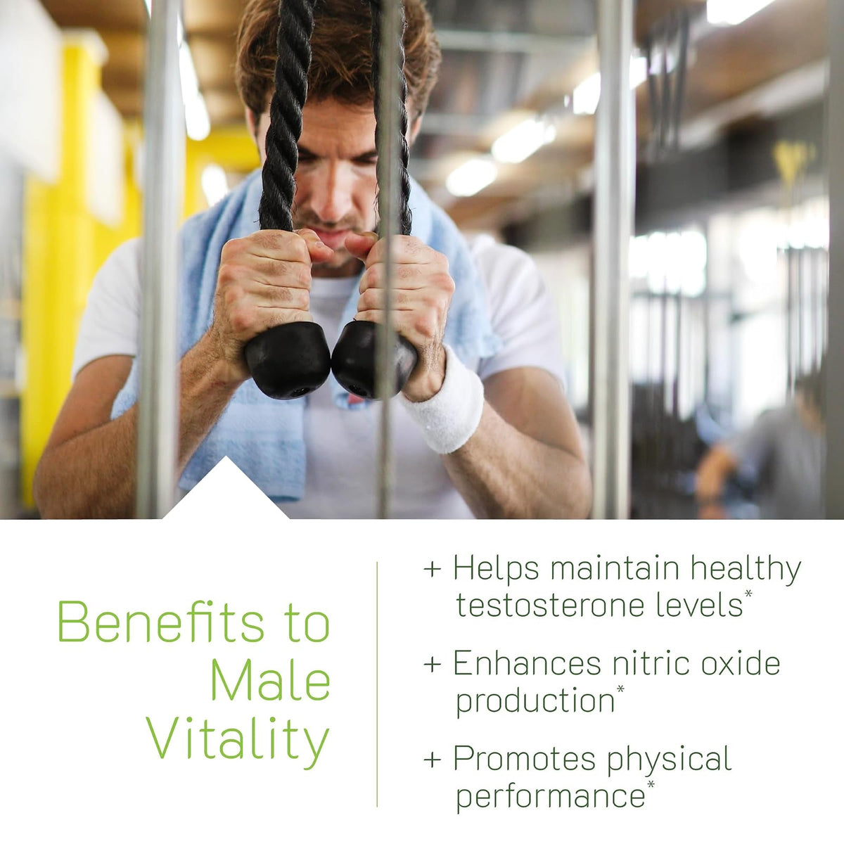 Nitric oxide booster for performance