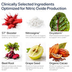 Nitric Oxide energy supplement