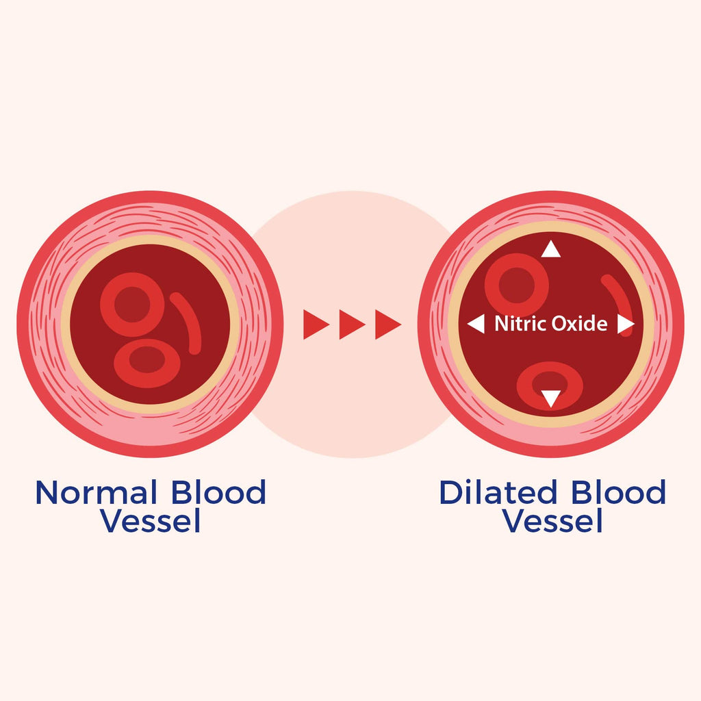 Nitric oxide for improved circulation