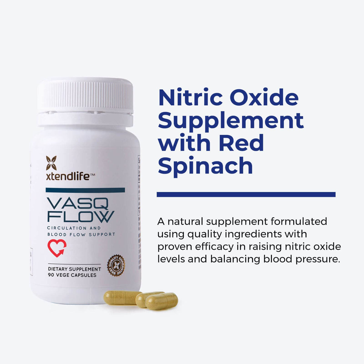 Nitric oxide supplement for energy