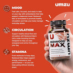 Nitric oxide supplement for energy