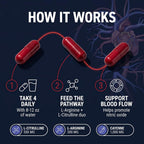 Nitric oxide supplement for enhanced performance