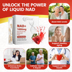 NIUSISE NAD+ for cellular health