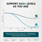 NMN 1000 mg for cellular health