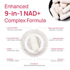 NMN alternative for cellular health
