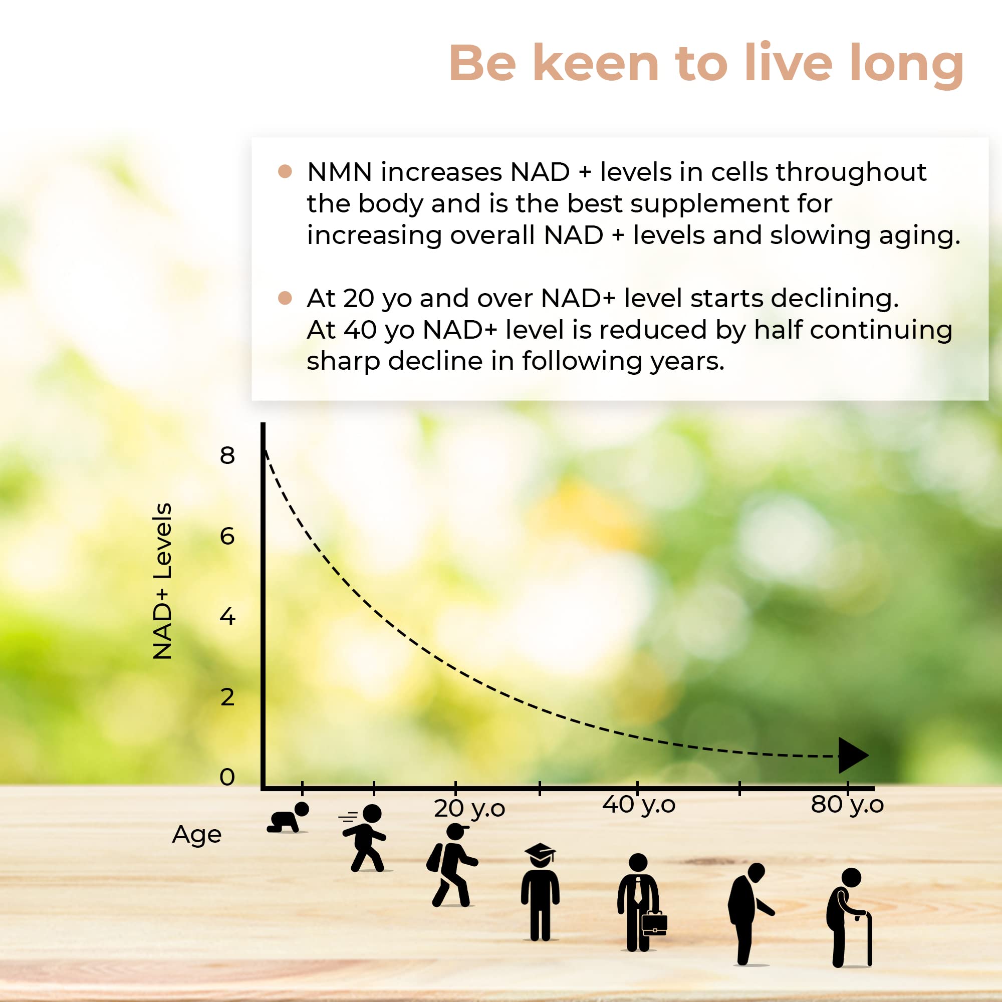 NMN and magnesium for wellness