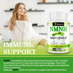 NMN capsules for improved cognitive function