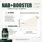 NMN capsules support cellular health