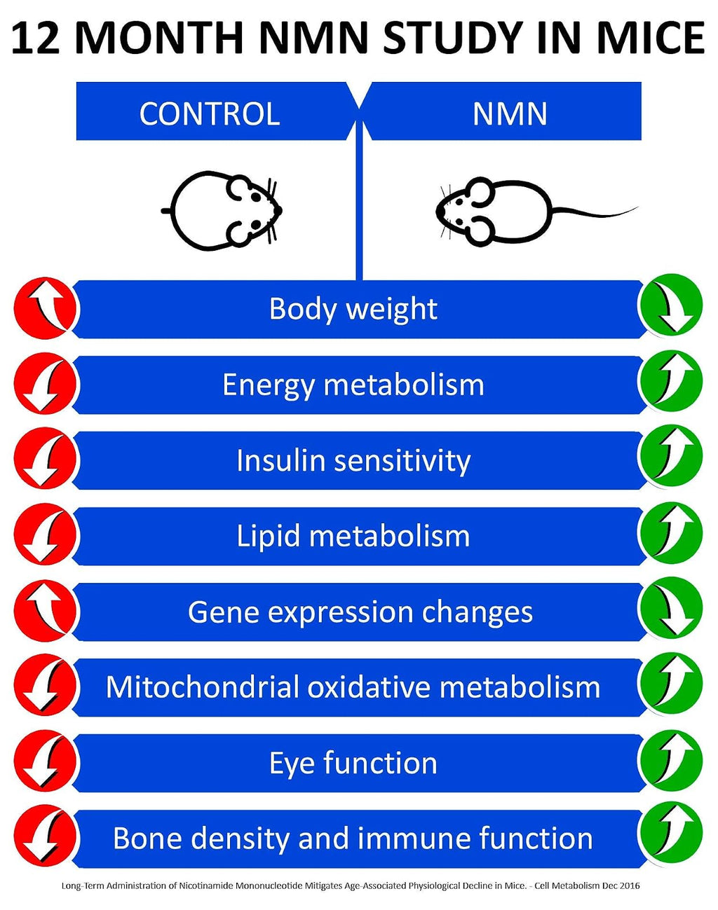 NMN for energy support