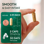 NMN for enhanced cellular health