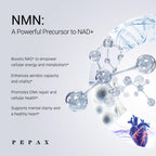 NMN for healthy aging support