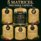 NMN supplement promotes vitality