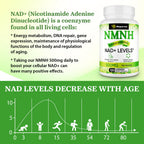 NMN supplement supports cellular health