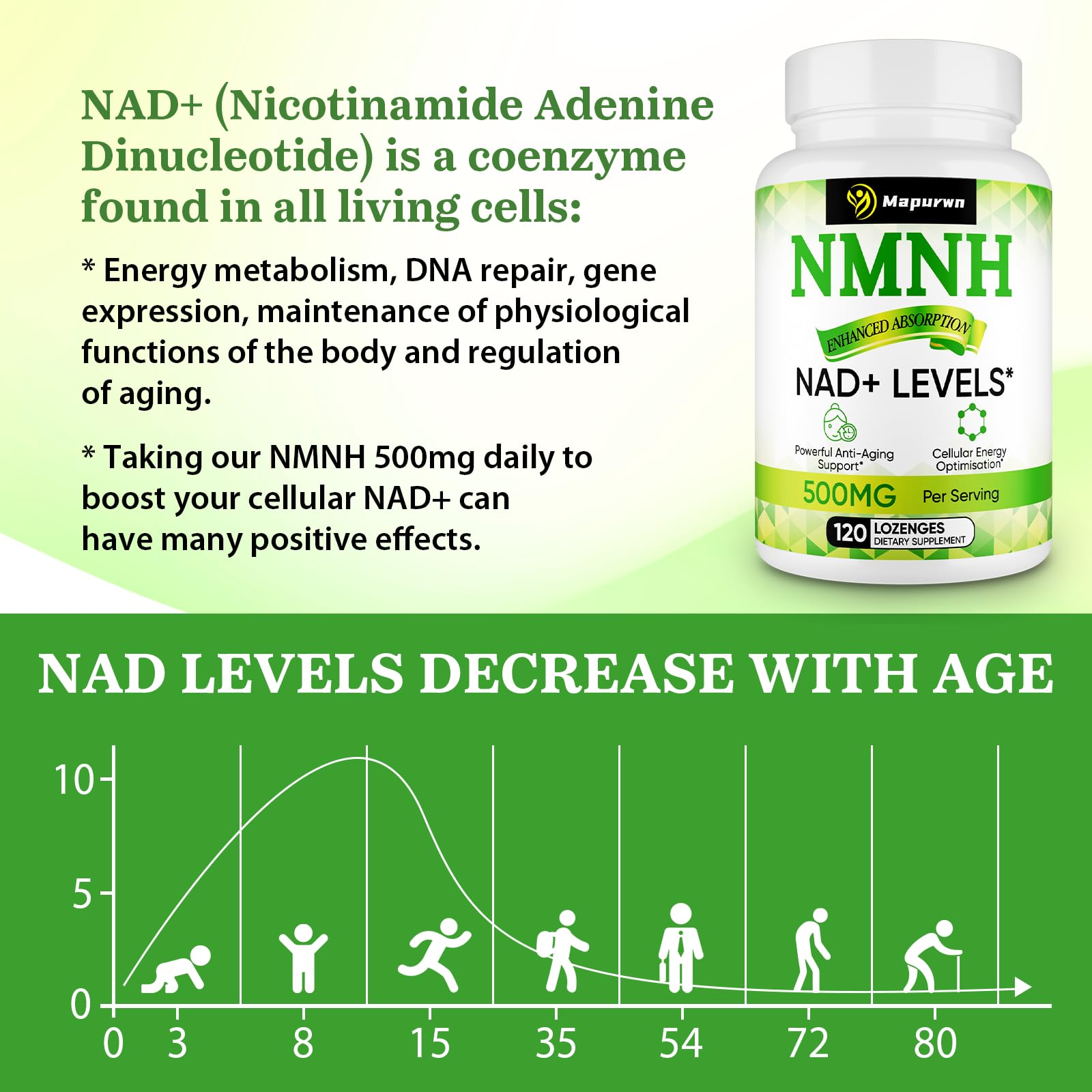NMN supplement supports cellular health