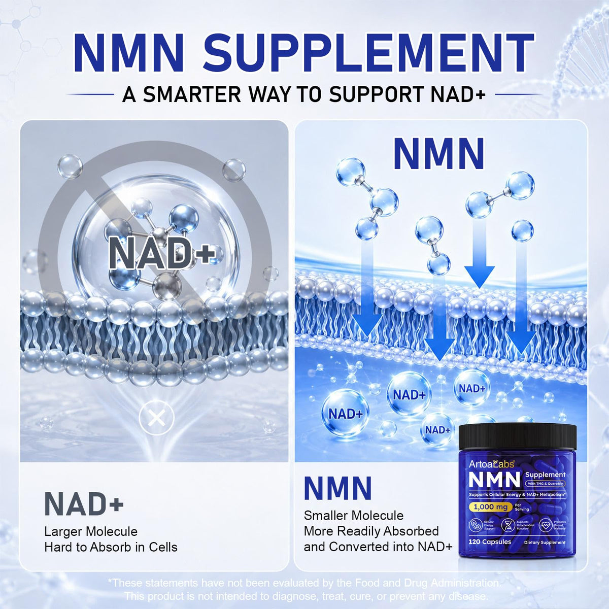NMN supplement supports cellular health