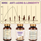 NMN supplement supports cellular health