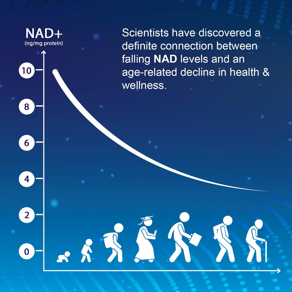 NMN supplement to enhance metabolism