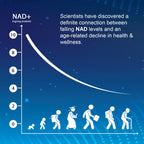 NMN supplement to enhance metabolism