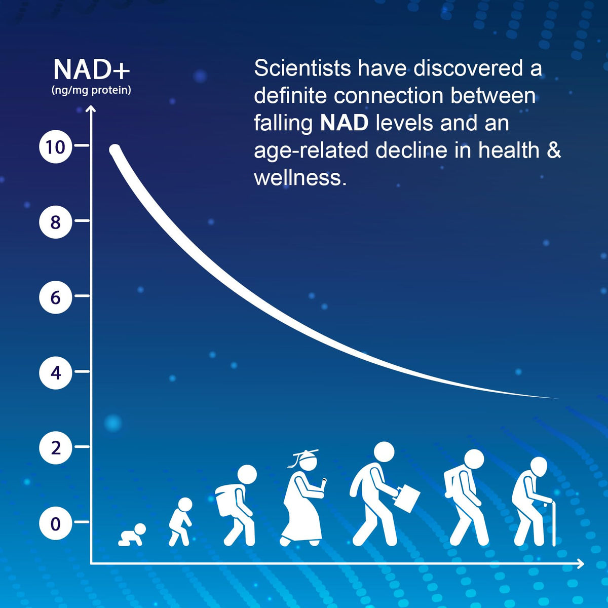 NMN supplement to enhance metabolism